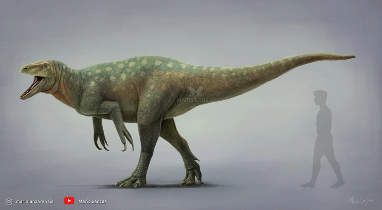 Megaraptor tree | Fandom