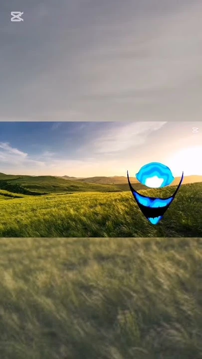 what did I just find | Fandom