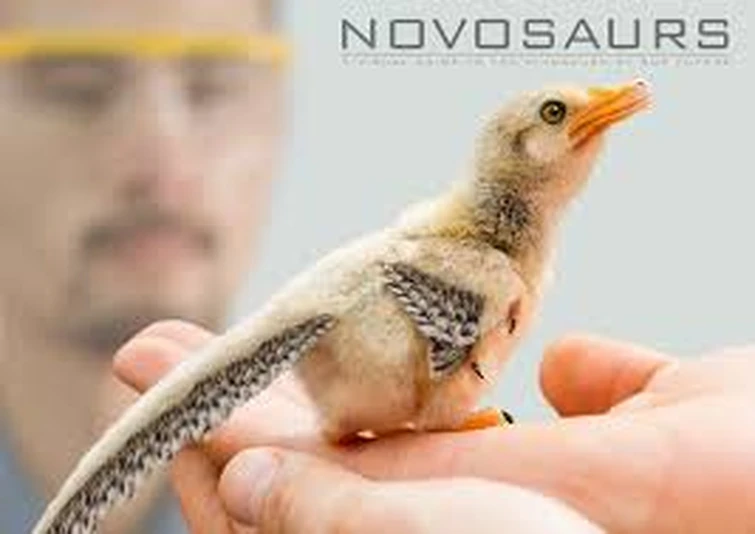 Off Topic Post | Fandom