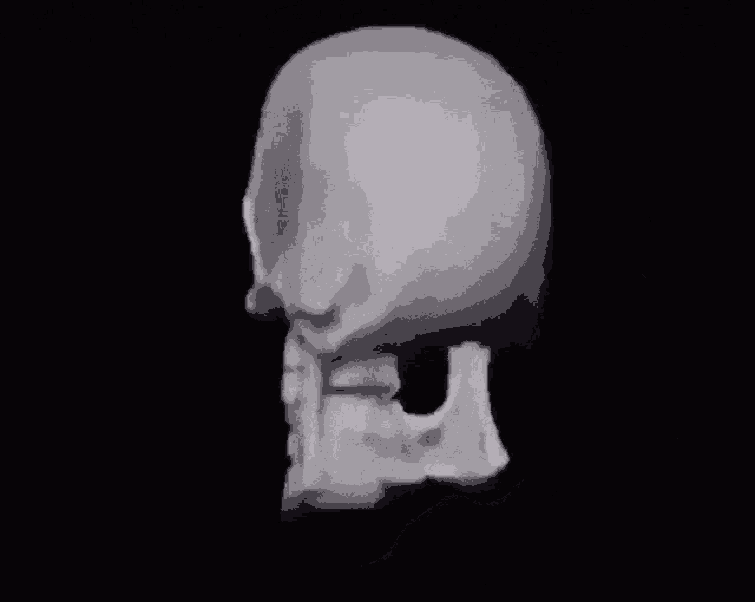 best skeleton image will be my pfp | Fandom