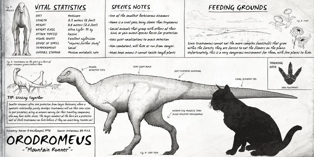 The orodromeus from the isle | Fandom