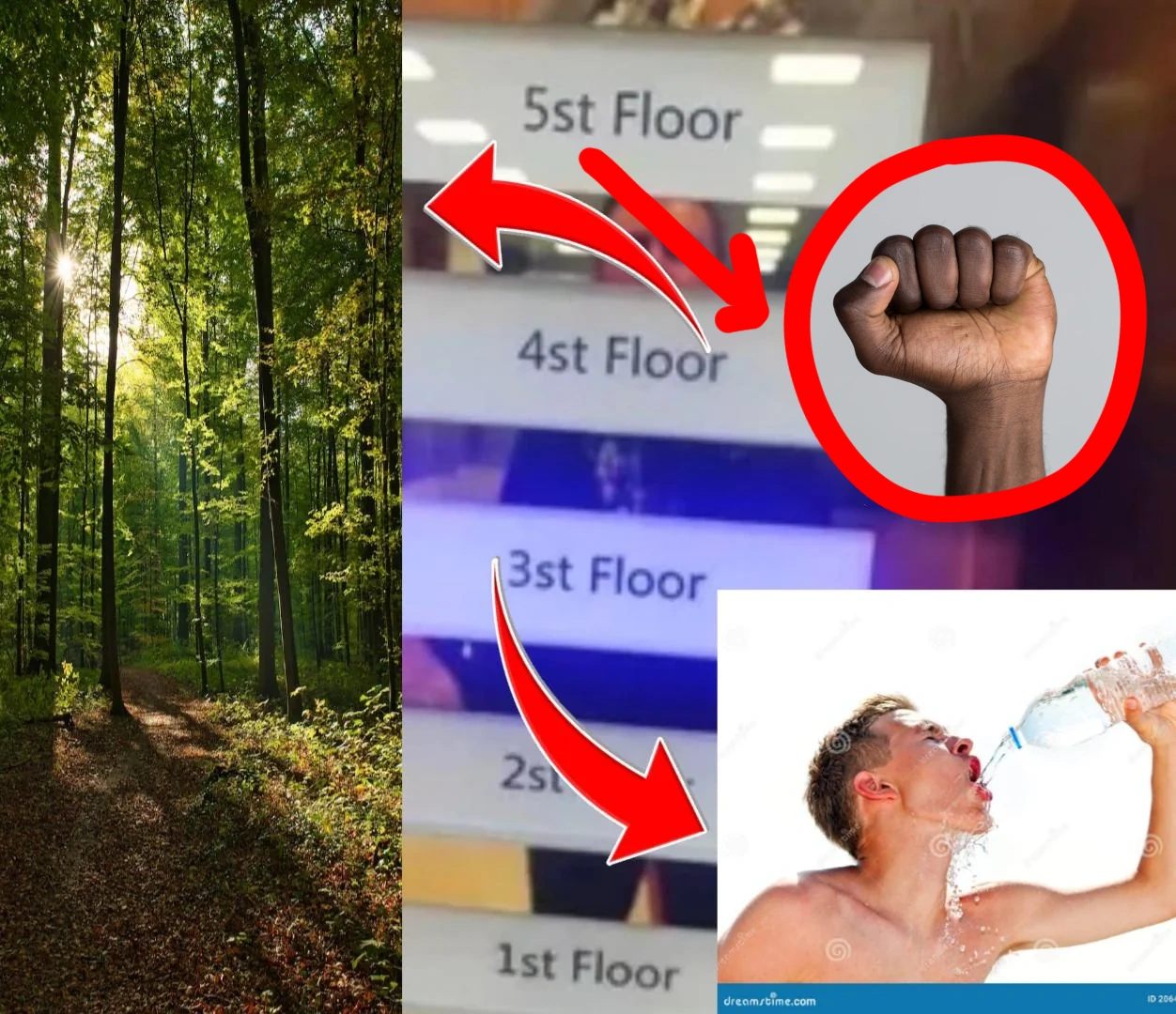 its my birthday | Fandom