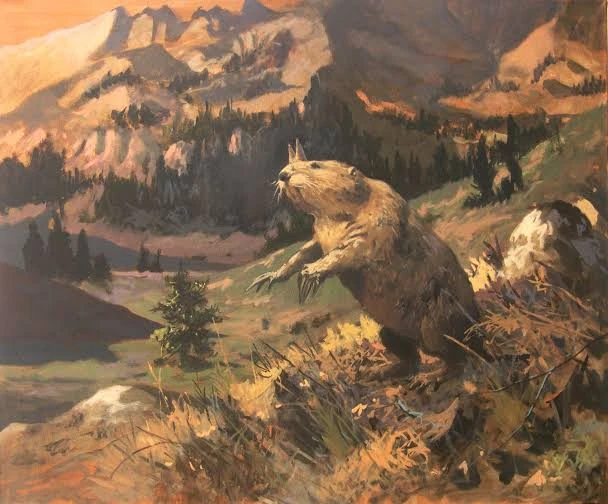 Horned Gophers in Parallelity of Parallelities Where domesticated by ...