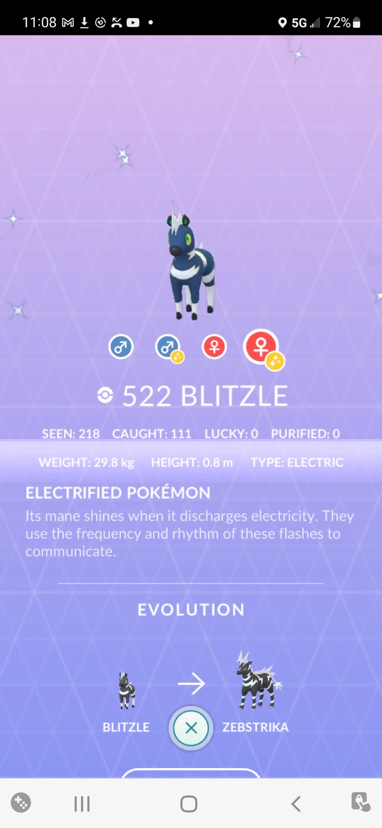 Went to get more balls to catch a GBL Yungoos, came back with a Shiny Blitzle! | Fandom