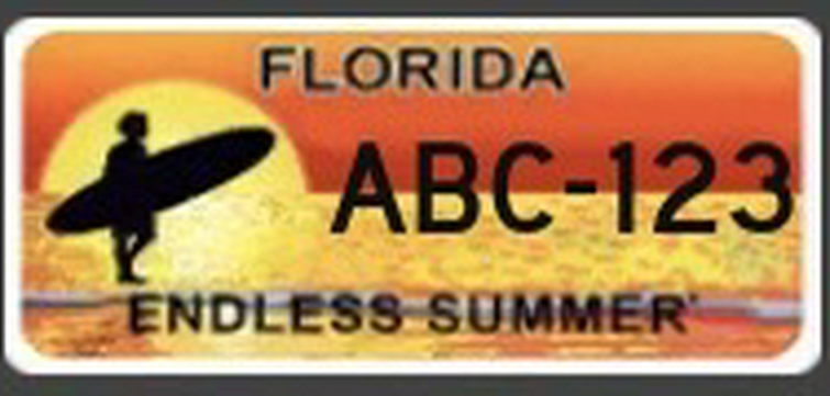 GV secretly added Florida's "Endless Summer" license plate. | Fandom
