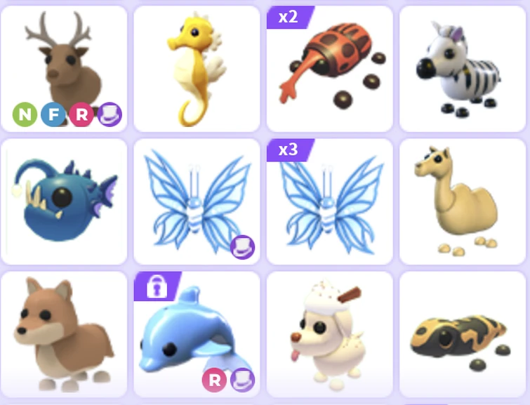 Discuss Everything About Adopt Me! Wiki | Fandom