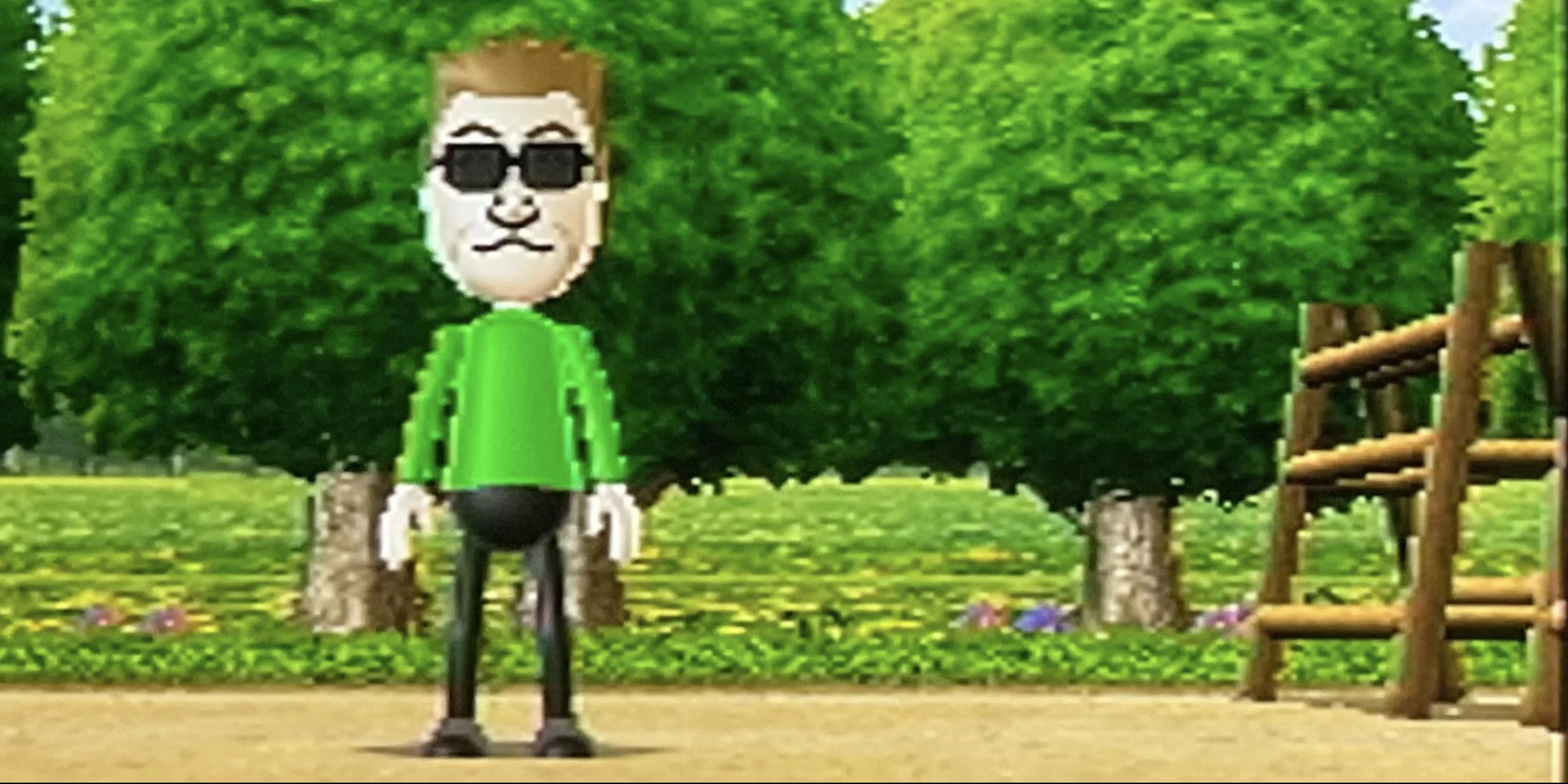 Standard Mii nearly went to the end of the path! | Fandom