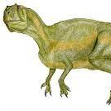 Discuss Everything About Dinopedia | Fandom