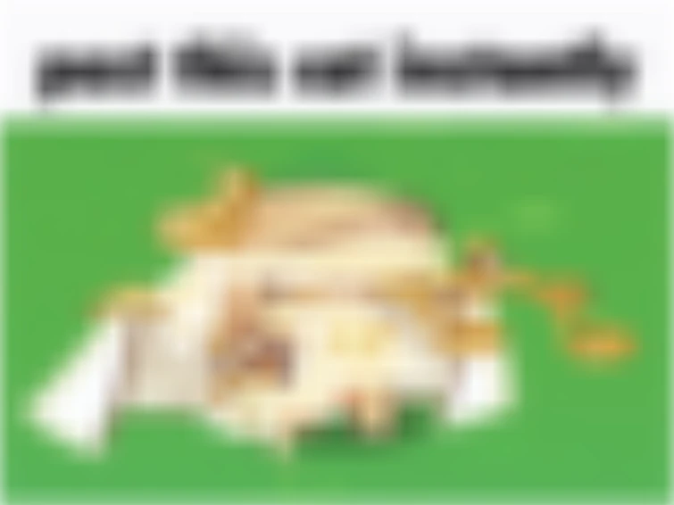 Post this cat instantly | Fandom