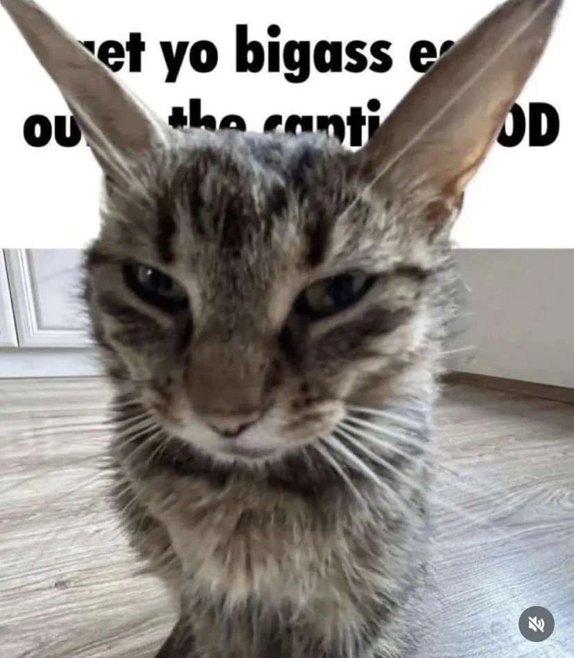 Tap to earn sploinkus doinkus | Fandom