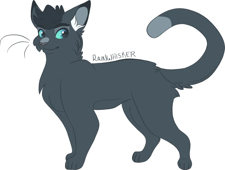 The new cats in Midnight (and the ones that changed ranks) | Fandom