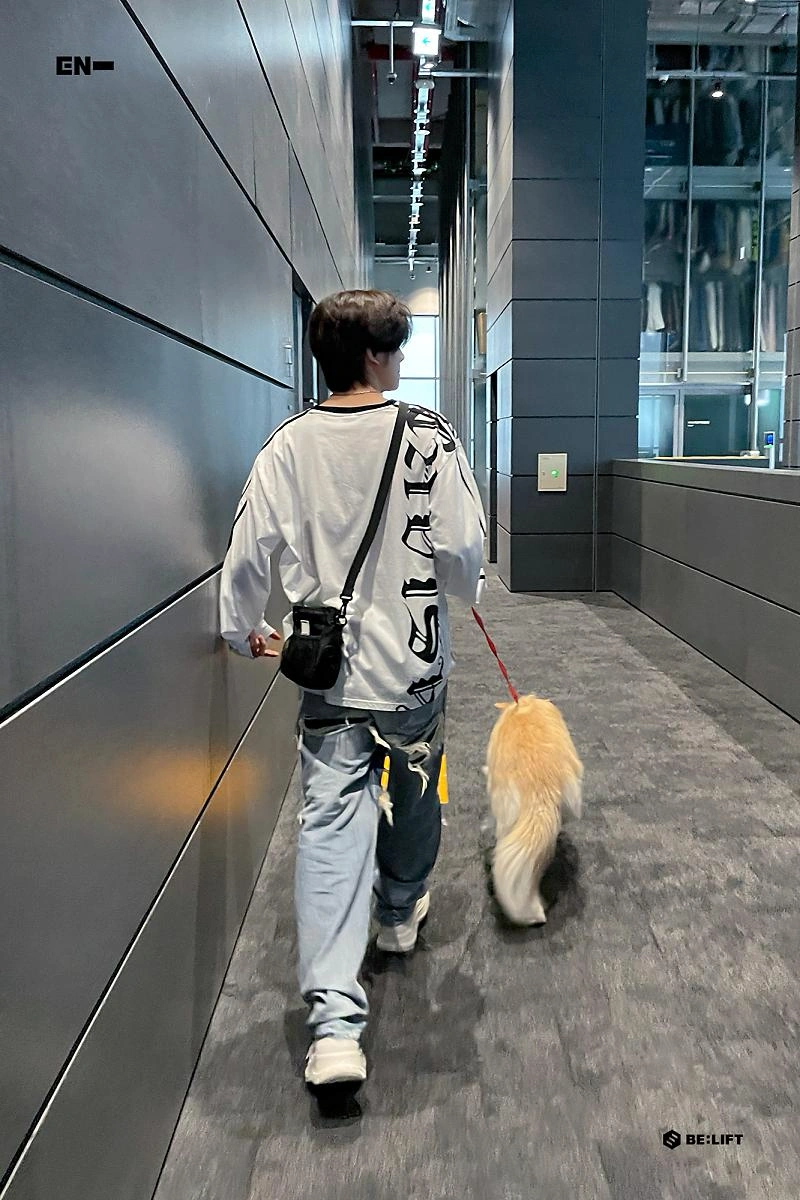 Your daily Jakey #968 | Fandom