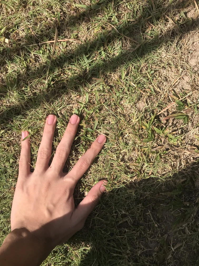 pov: touching grass | Fandom