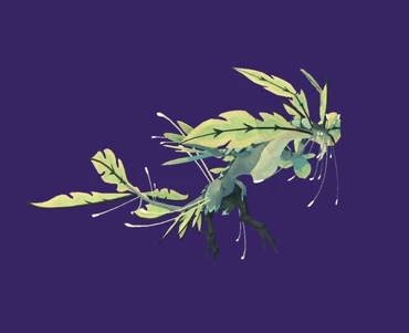 Discuss Everything About Creatures of Sonaria Wiki | Fandom