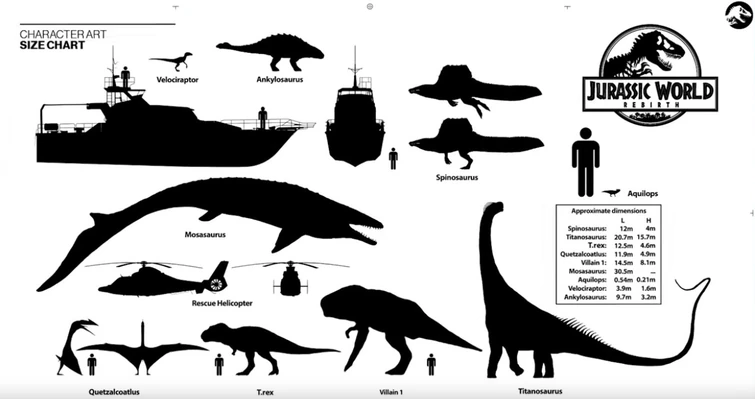 OFFICIAL SIZE CHART FOR REBIRTH! | Fandom