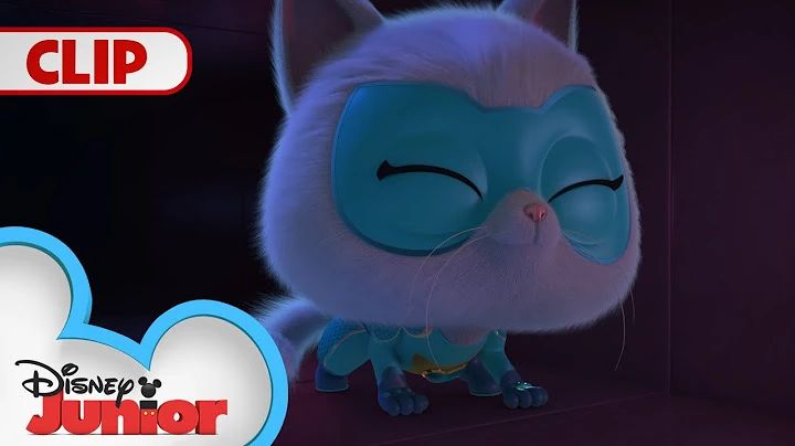 Don't You Fear 🎶 | Music Video | SuperKitties | @disneyjunior | Fandom