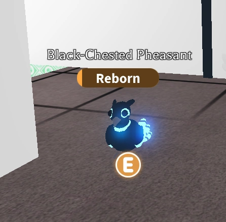 whoa neon black chested pheasants are so cool | Fandom