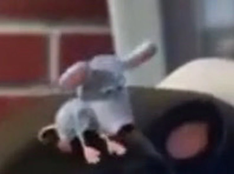 Discuss Everything About Nickelodeon | Fandom