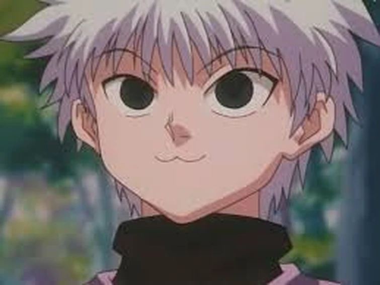 random scenes from 1999 HxH that i've compiled | Fandom