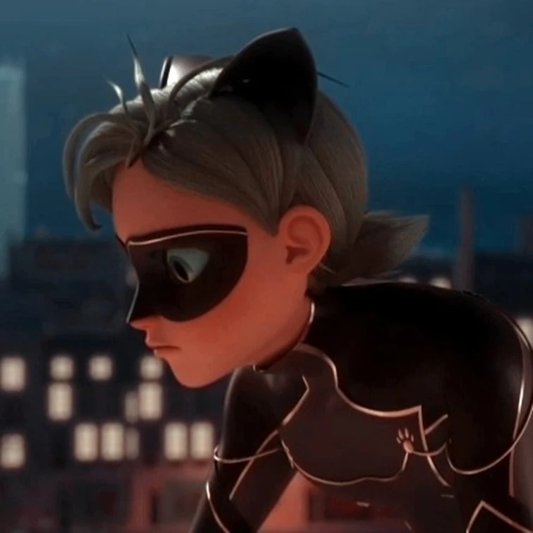 Adrien's hair | Fandom