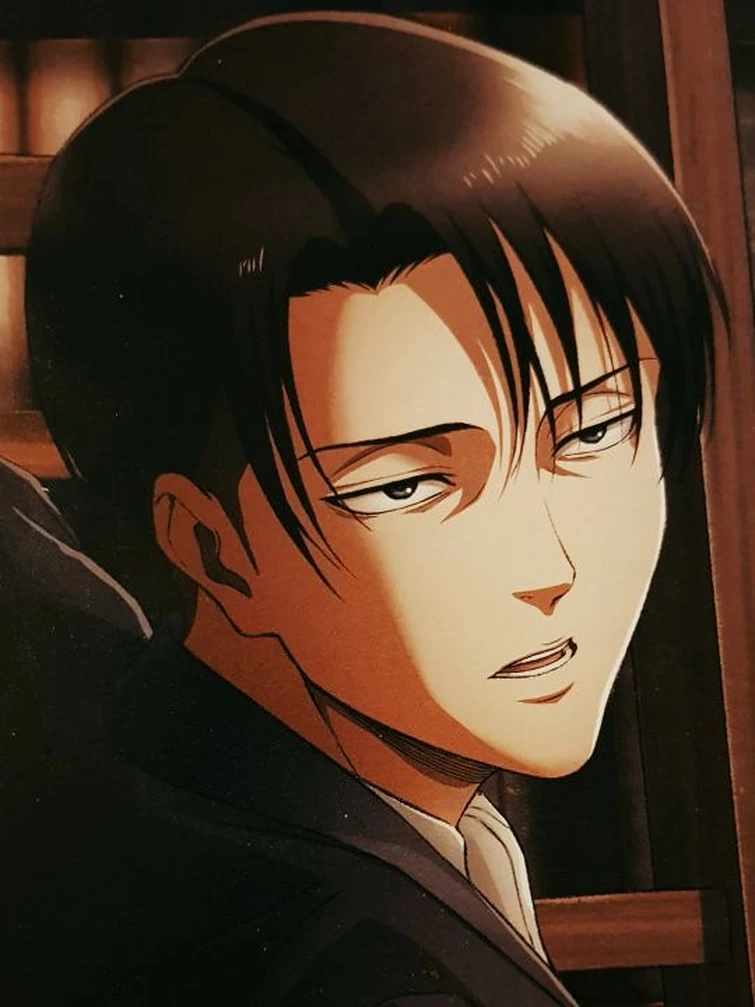 Discuss Everything About Attack on Titan Wiki | Fandom