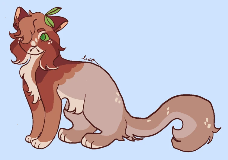 Drawing?! Main cat ocs | Fandom