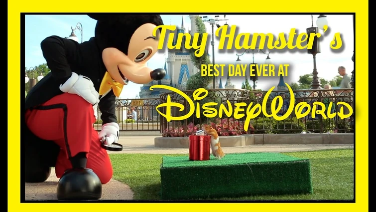 General Discussions Thread | Fandom