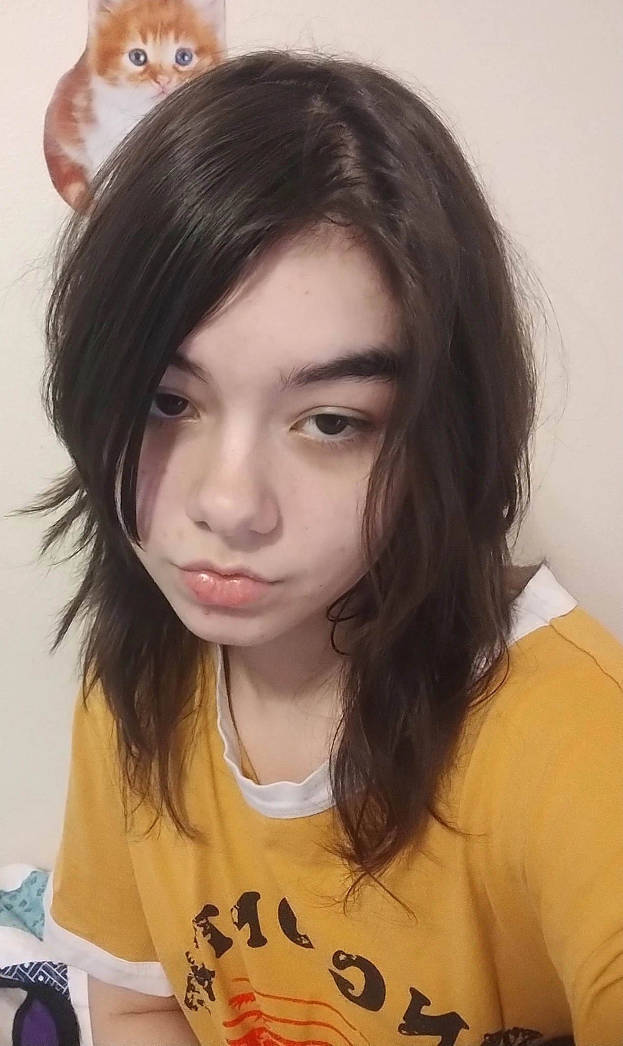 This is me btw... So if you bully me this is who you're bullying!! | Fandom