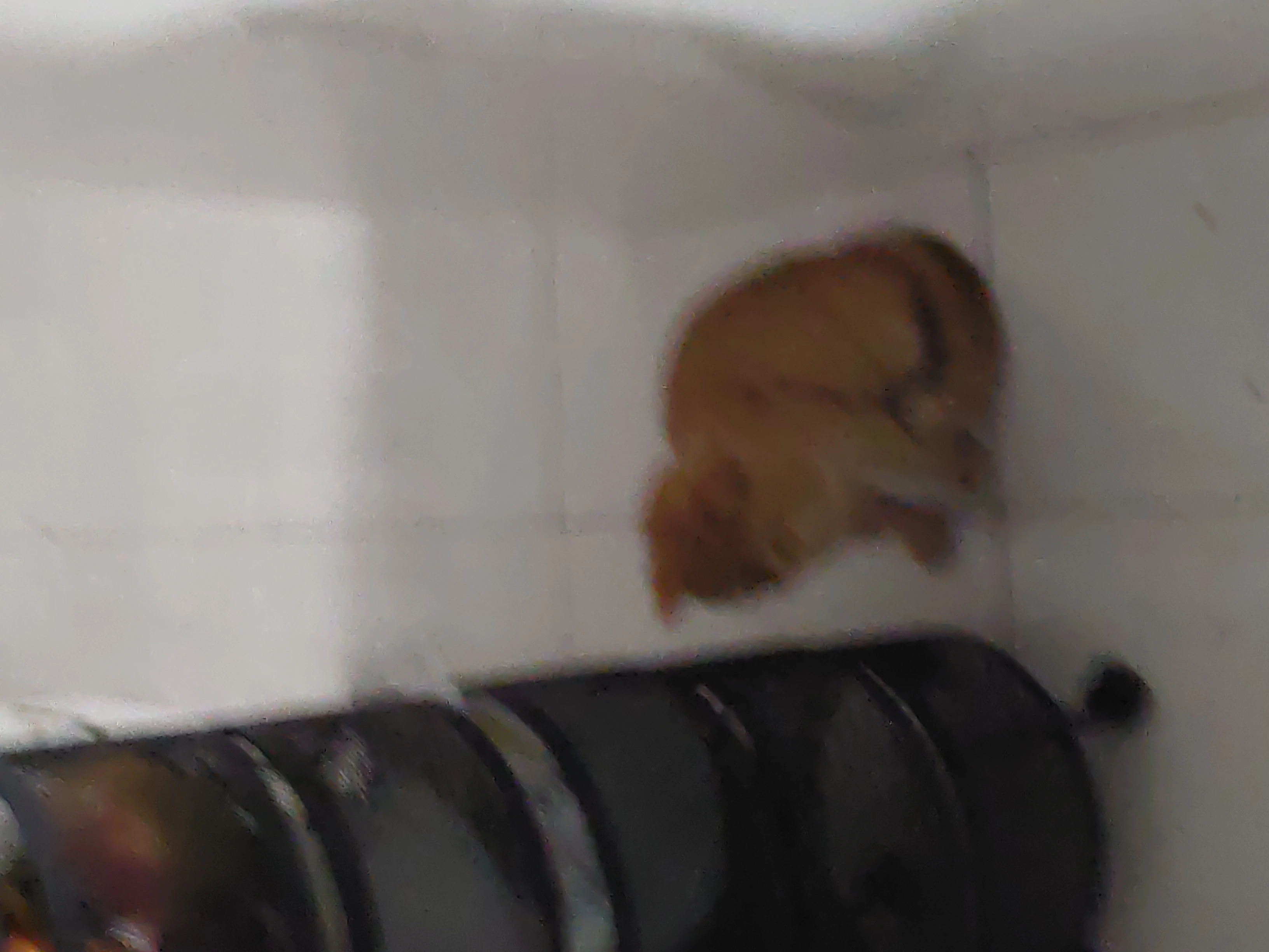 Send help please | Fandom