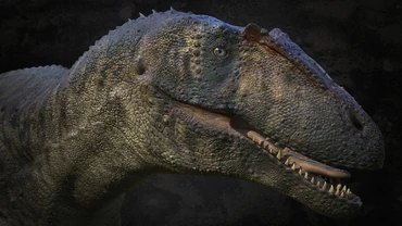 Discuss Everything About Dinopedia | Fandom