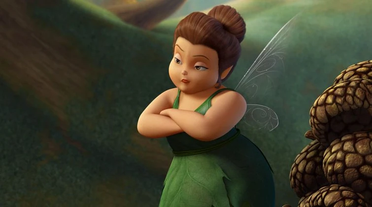 Wish they use the fairy outfits from Tinkerbell for their ...