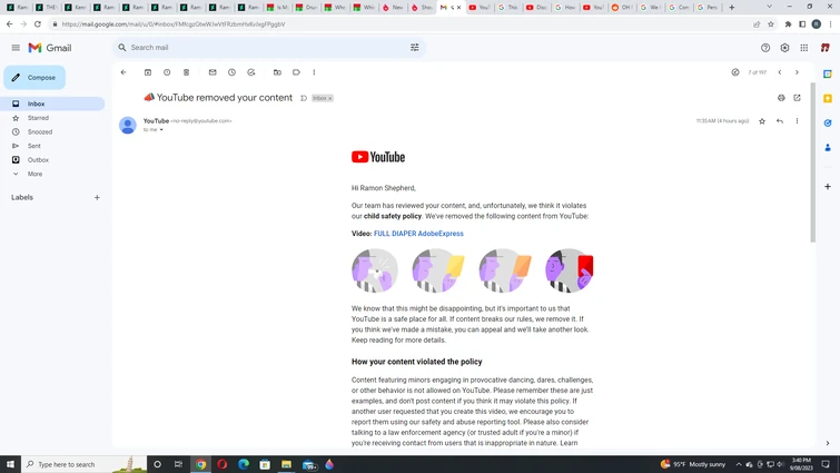 I Got Three Community Guidelines Strikes! | Fandom