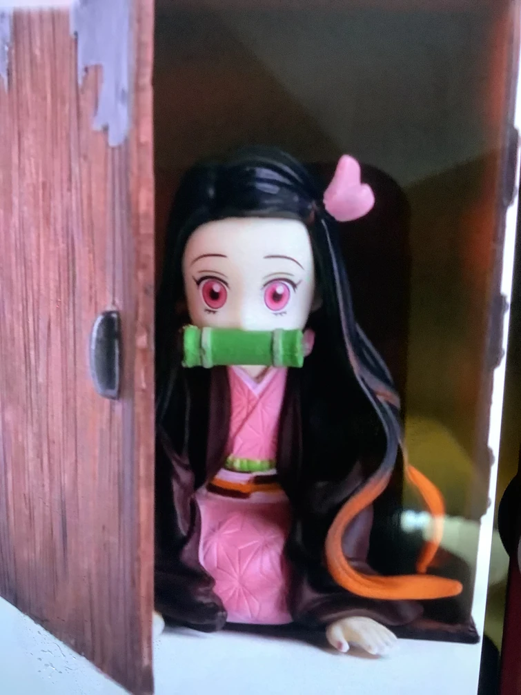 Nezuko inside her box | Fandom