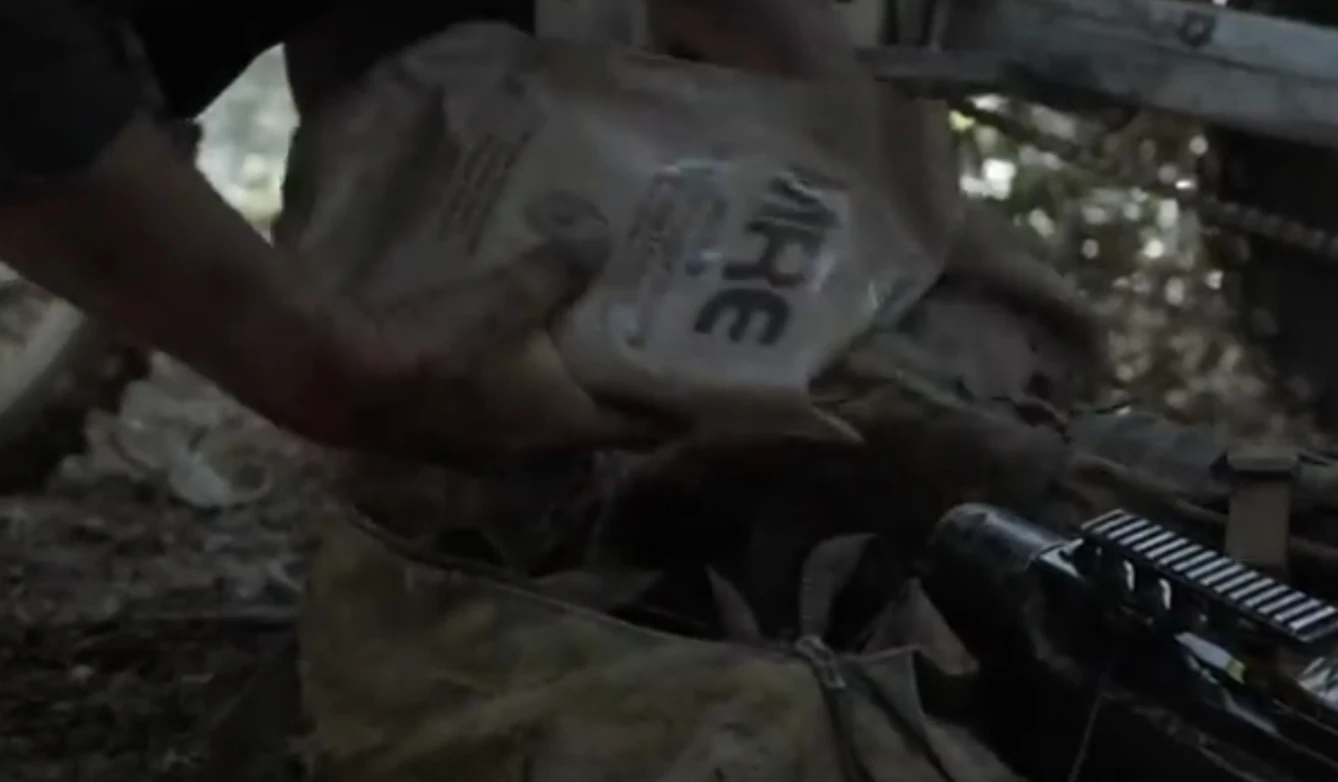 Survival Instinct | Fandom