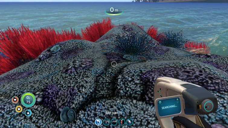 Discuss Everything About Subnautica Wiki | Fandom