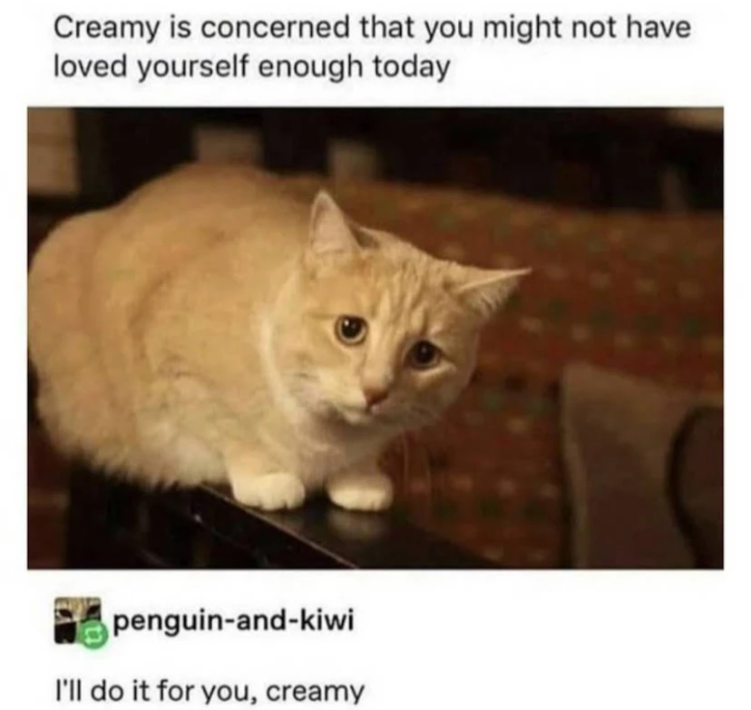 what art style should the one shot be (myeah another mascot one shot ...