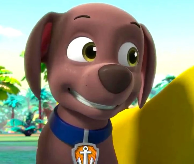 Some more close ups of the adorable smiling Zuma. | Fandom