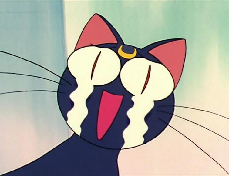 Why is Luna crying?(wrong answers only) | Fandom