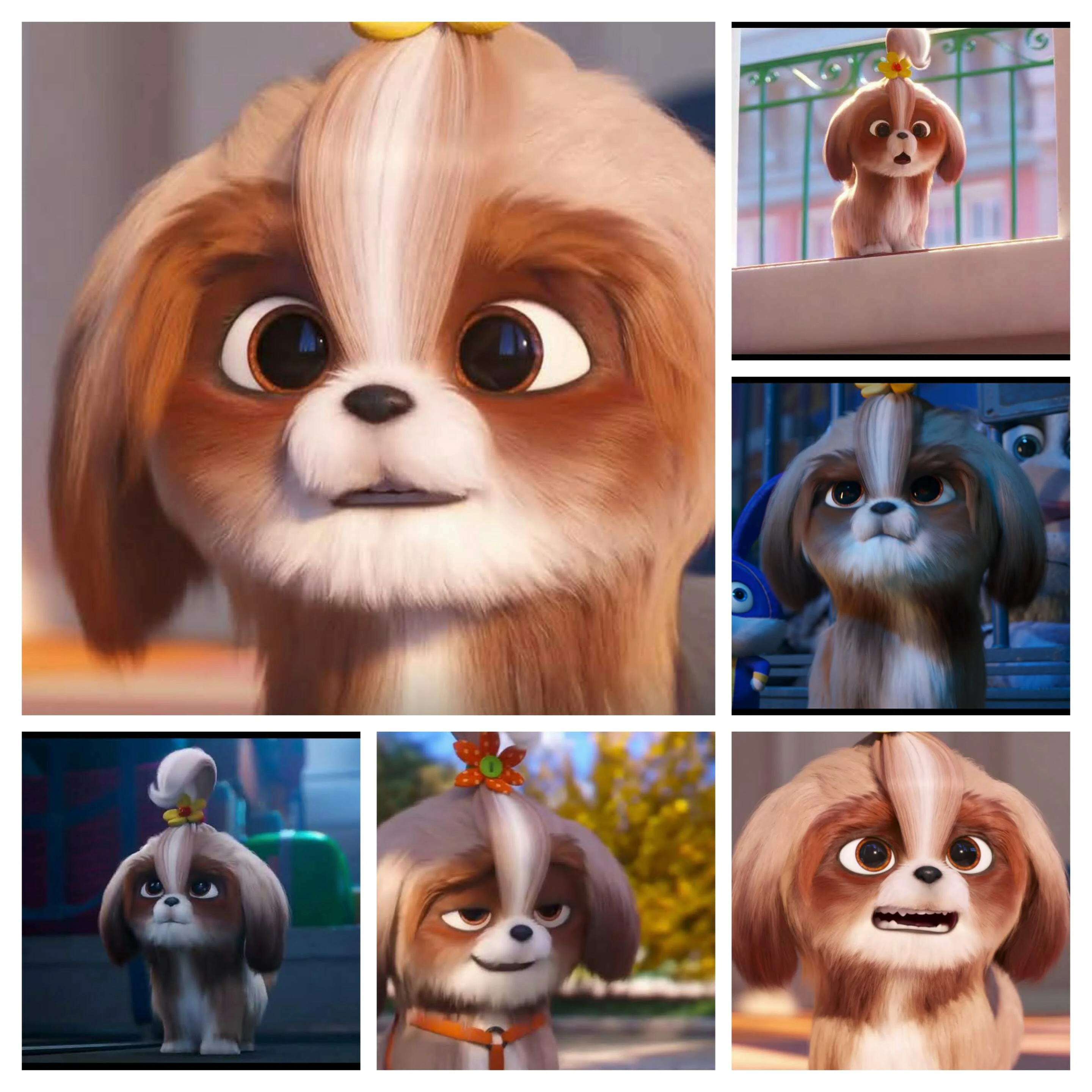 Daisy Collage | Fandom