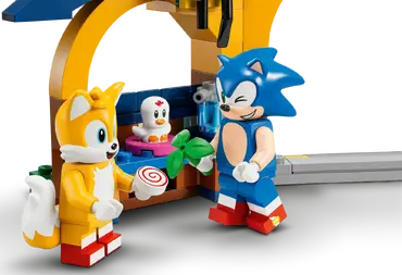 Is this a cosmo reference in the 2nd LEGO sonic set? | Fandom