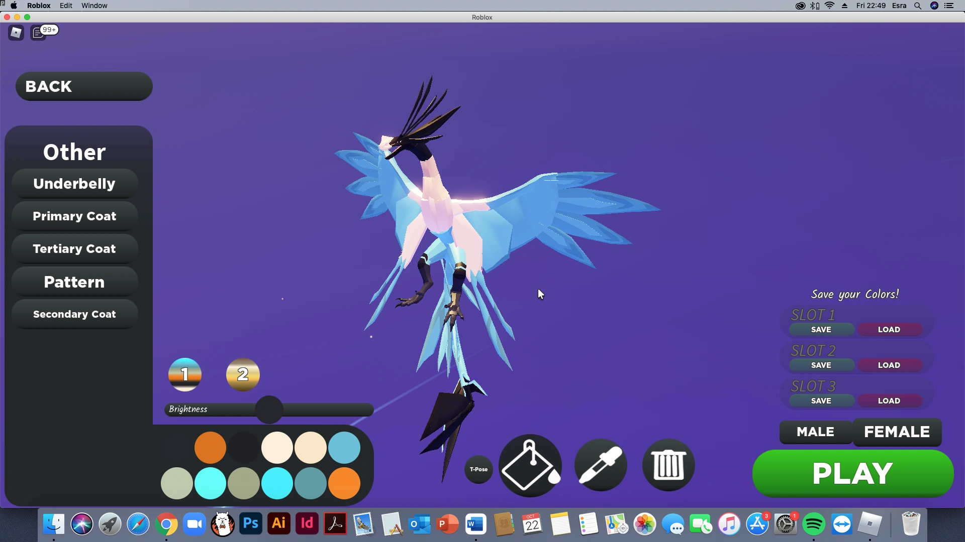 Meet the lovebirb Kaluaka :D | Fandom