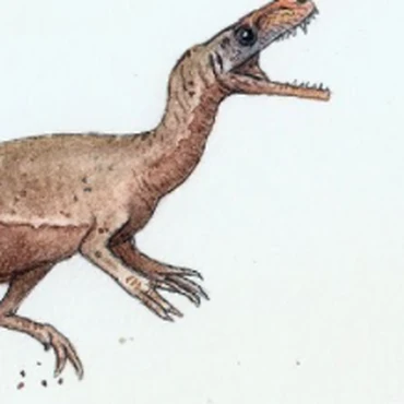 Discuss Everything About Dinopedia | Fandom