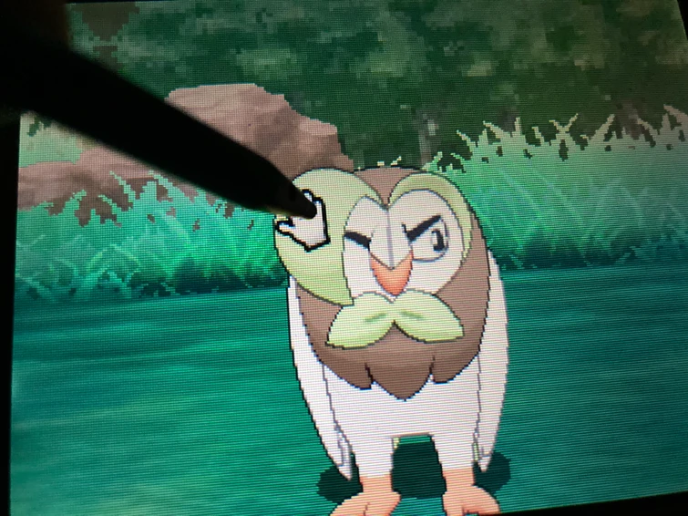 Dartrix | Fandom