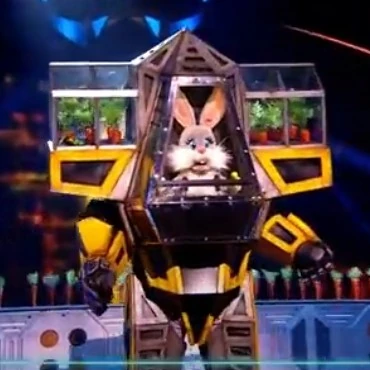 Discuss Everything About The Masked Singer Wiki | Fandom