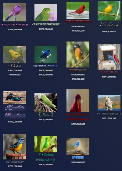 every bird aura so far | Fandom
