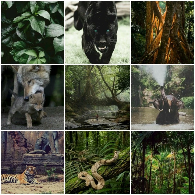 Animated aesthetics-Part 14 | Fandom