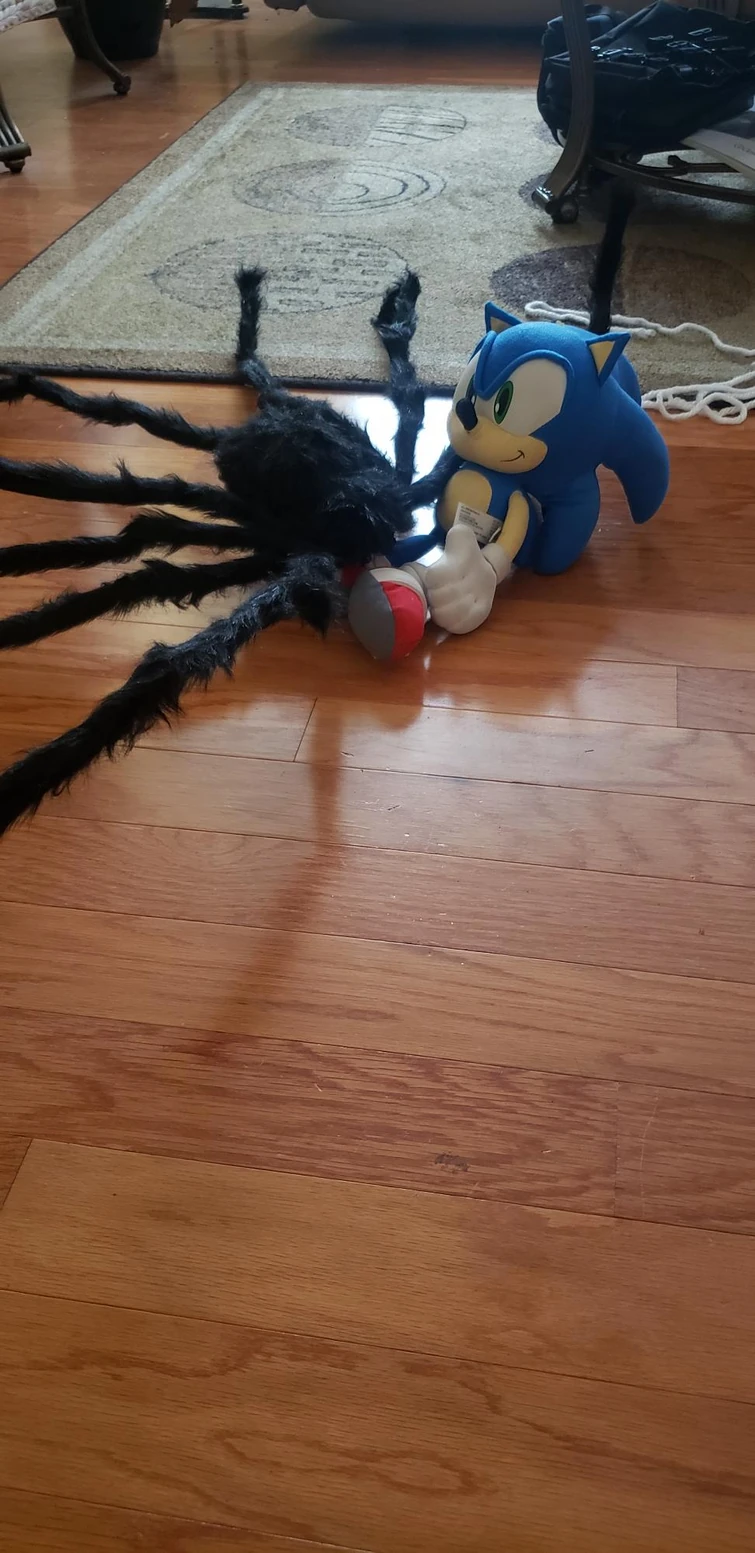 Someone help Sonic! | Fandom