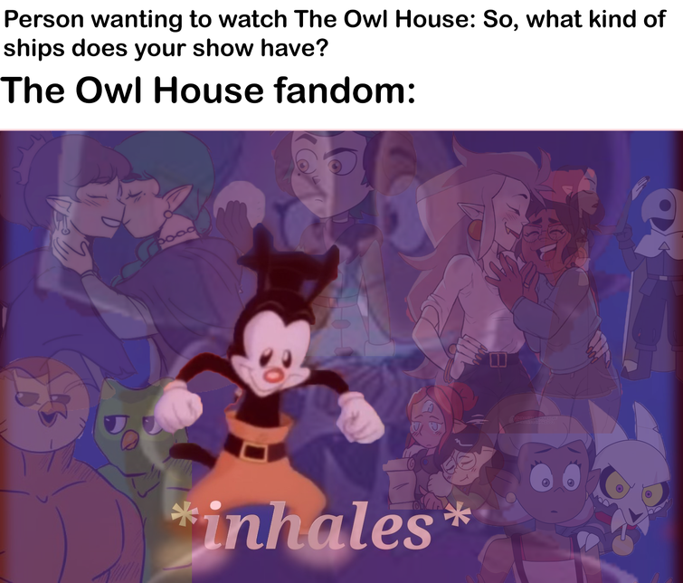 Top 5 favorite ships | Fandom