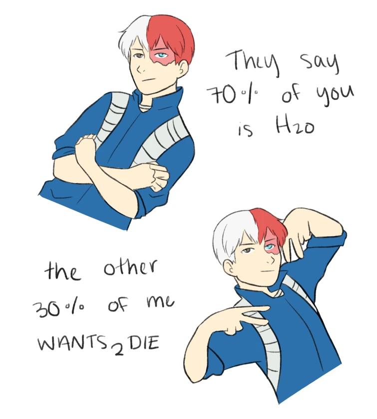 Shoto Todoroki memes | Fandom