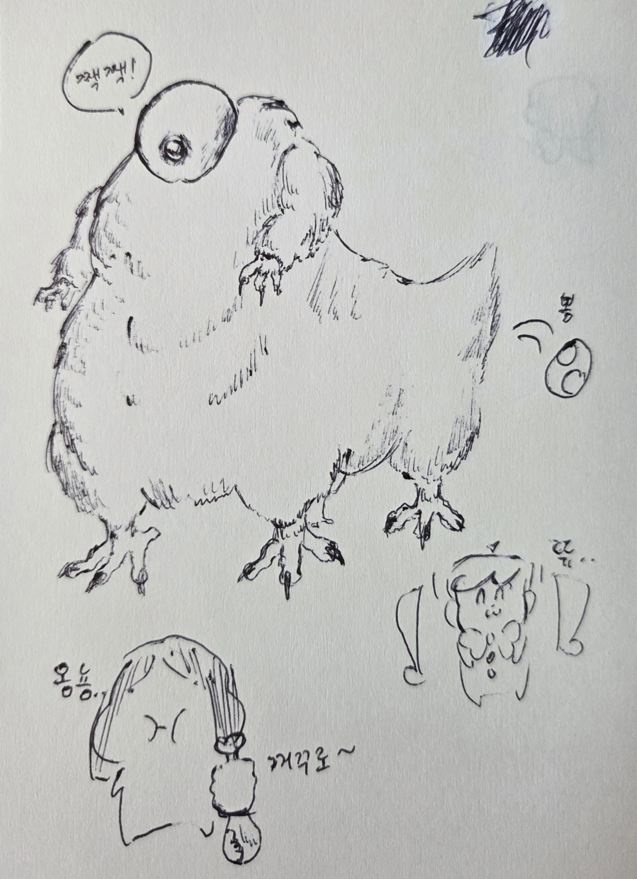 Doodles Fandom